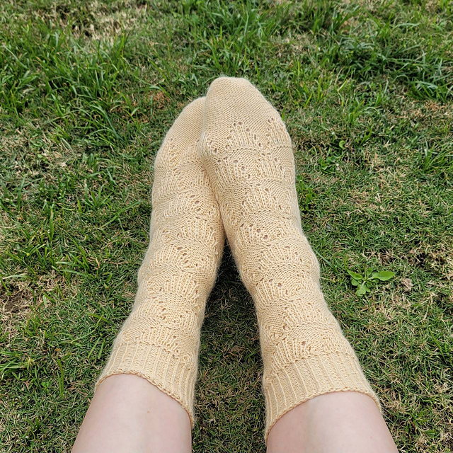 Ravelry: Coquille pattern by Regina Hwang