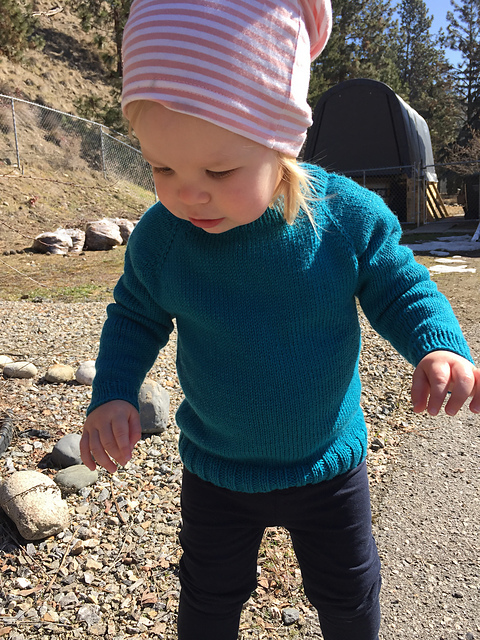 Ravelry: Schafer Sweater pattern by Robyn Dunfield