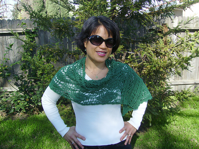 Ravelry: Trailing Leaves Wrap pattern by Robin Abdullah