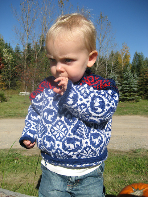 Ravelry: Squirrel Sweater for Baby / Nøttelitenangenser til baby (model ...