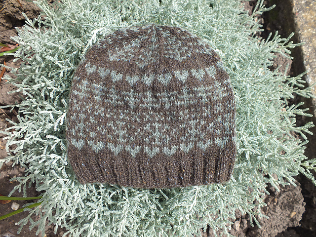 Ravelry: 50 row Aspen hat pattern by Ruth Venables