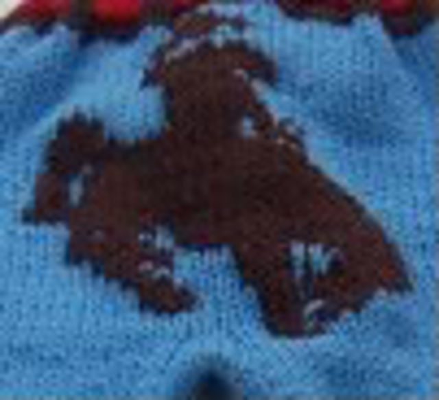 Ravelry: Bronco Chart pattern by Holly Pitcock