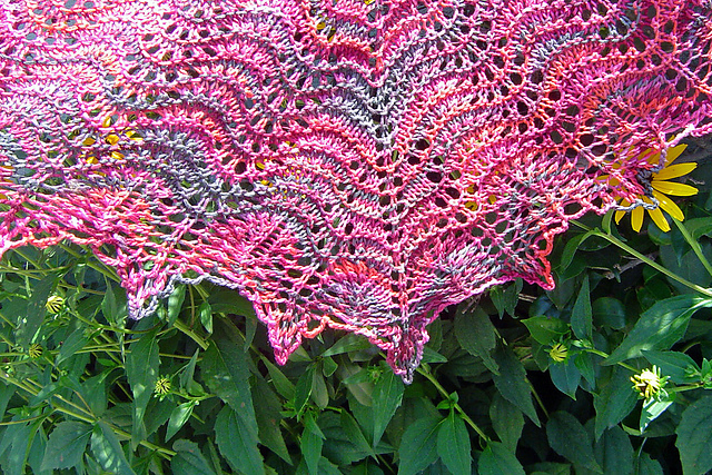 Ravelry: Dana-Marr Shawl pattern by Terry Morris