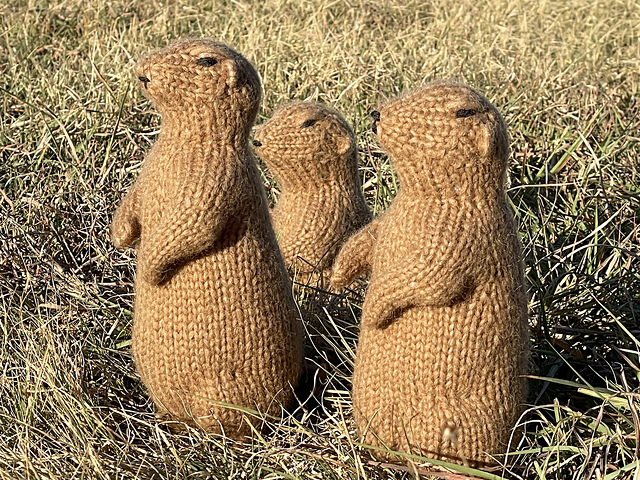 Ravelry: Mexican Prairie Dog pattern by Sara Elizabeth Kellner