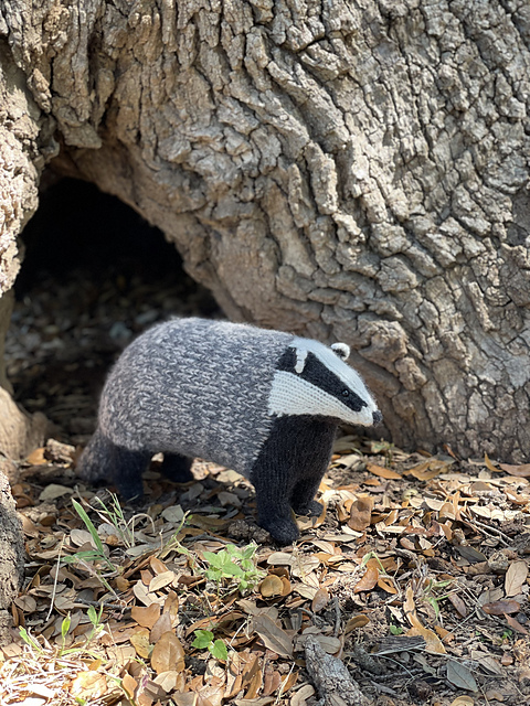 Ravelry: European Badger pattern by Sara Elizabeth Kellner