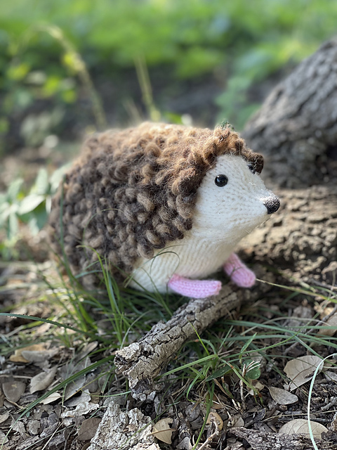 Ravelry: European Hedgehog pattern by Sara Elizabeth Kellner