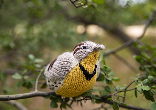Ravelry: Western Meadowlark pattern by Sara Elizabeth Kellner