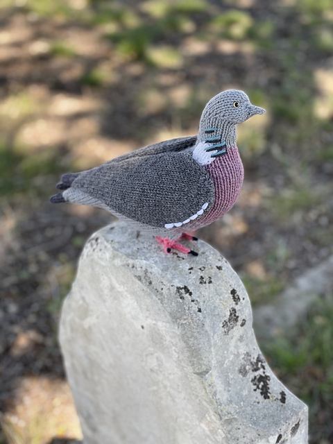 Ravelry: Wood Pigeon pattern by Sara Elizabeth Kellner