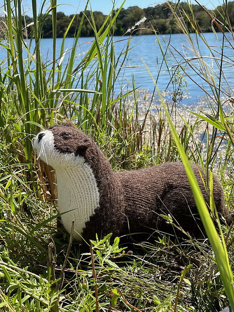 Ravelry: North American River Otter pattern by Sara Elizabeth Kellner