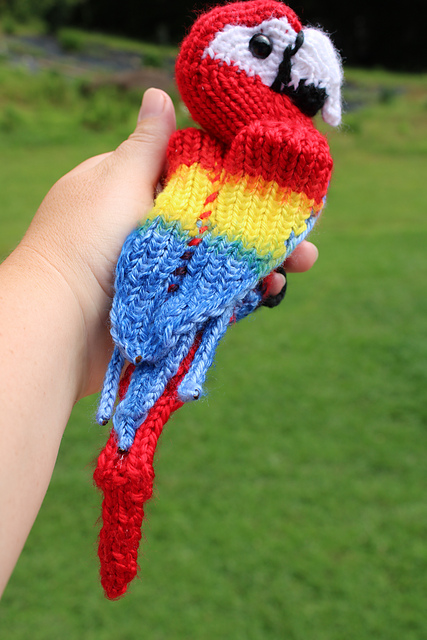 Ravelry: Macaw pattern by Scarlett Royale