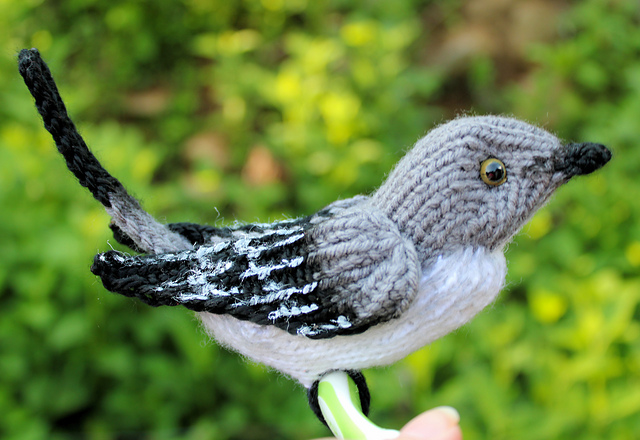 Ravelry: Mockingbird pattern by Scarlett Royale