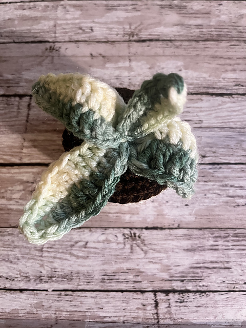 Ravelry: Plant (Albo) pattern by Suzy C
