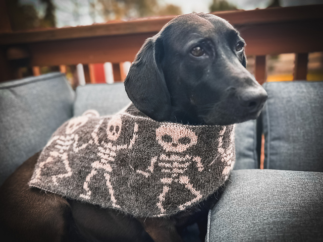 Ravelry: Dance of the Undead pattern by Leesa Anne