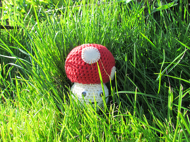 Ravelry: Fergus Fungus pattern by Lan-Anh Bui and Josephine Wan