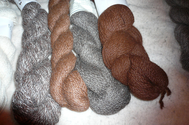 Ravelry: Sugar River Llamas Srllamas Sport