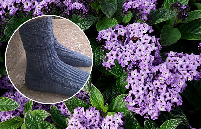 Ravelry: Heliotrope pattern by Stefanie Goodwin-Ritter