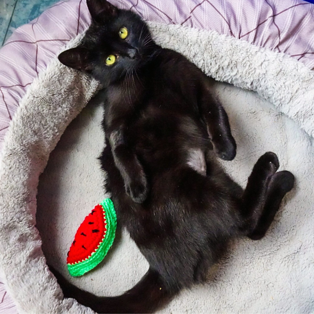 Ravelry: Easy No Sew Watermlon pattern by Summer Brunton-Elliott