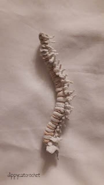 Ravelry: Anatomical Spine pattern by L Hodgins