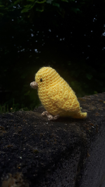 Ravelry: Crocheted Canary pattern by L Hodgins