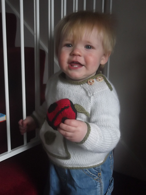 Ravelry: Leaf and Ladybird Jumper pattern by Zoe Ward