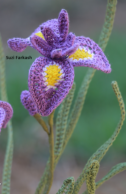 Ravelry: Crochet Iris pattern by Suzi Farkash