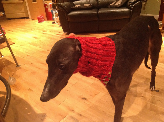 Ravelry: Greyhound snood pattern by nemetona fibreartist