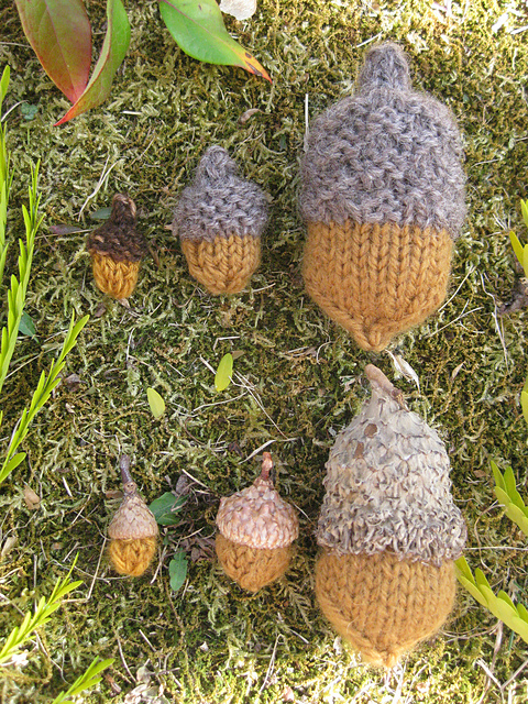 Ravelry: Knit or Stick Acorns pattern by Natasha Hanson