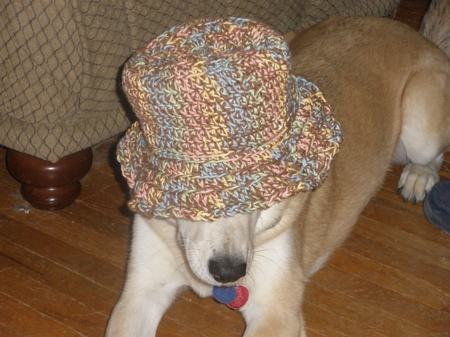 Ravelry: Joyce's Hat pattern by Paula Gaumer Tooke