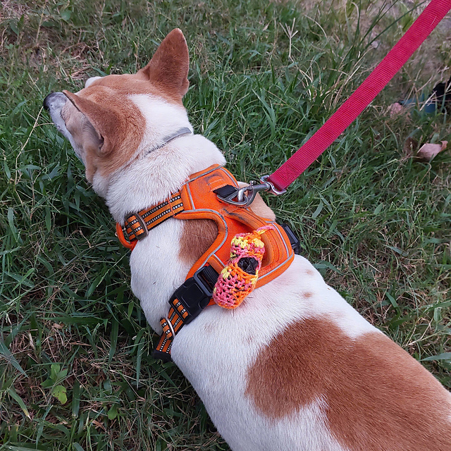 Ravelry: Dog poop bag holder pattern by Thao Homemade Crochet