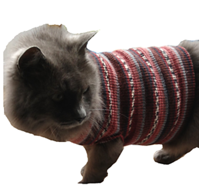 Ravelry: Kitty Couture pattern by Kathryn Doubrley-The Answer Lady
