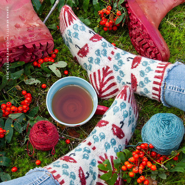 Ravelry: Cosy Rain Socks pattern by Anna Hewitt