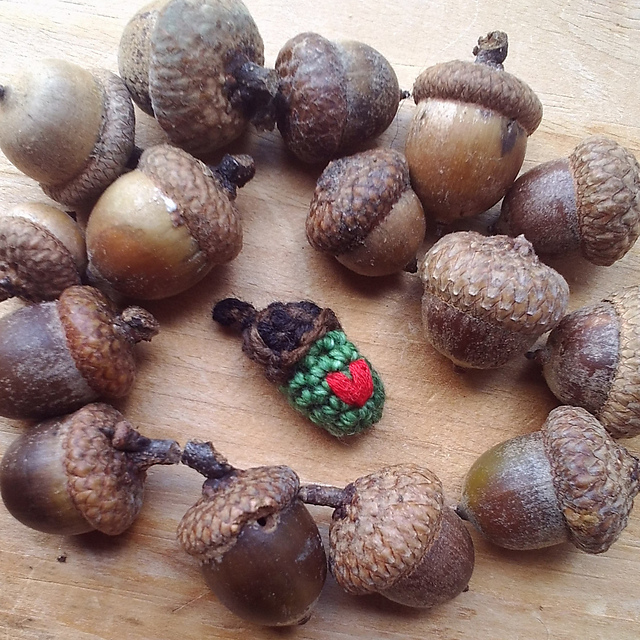 Ravelry: mighty acorn pattern by Trish Young