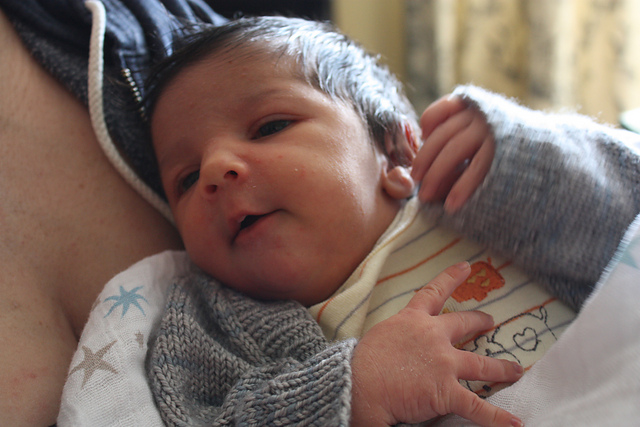 Ravelry: thewittyknitter's Baby Vertebrae