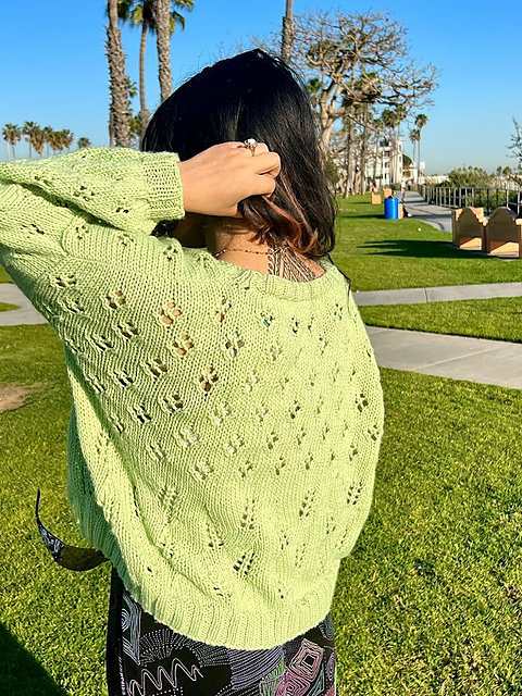 Ravelry: Laguna Cardigan pattern by Dani Ruiz