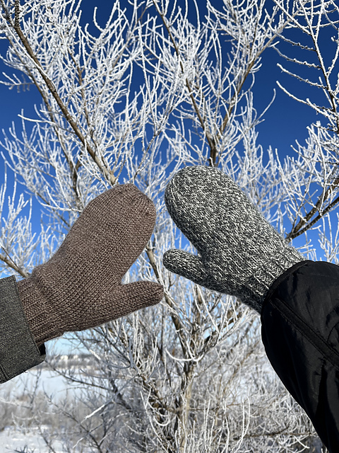 Ravelry: Unisex Mittens pattern by Stephanie Gifford