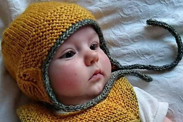Ravelry: Sapling pattern by Rebecca Newman