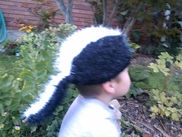 Ravelry: Skunk pattern by Heidi Yates