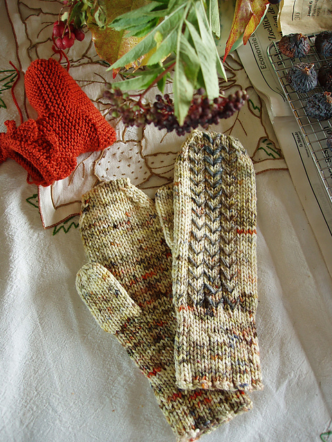 Ravelry: Mittens (with woven design) pattern by Elizabeth Zimmermann