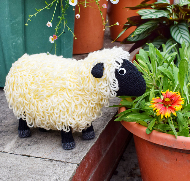 Ravelry: Sharon the Sheep pattern by Trish Roberts | trishlemoose