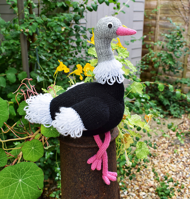 Ravelry: Olive the Ostrich pattern by Trish Roberts | trishlemoose