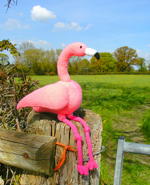 Ravelry: Felipe Flamingo pattern by Trish Roberts | trishlemoose