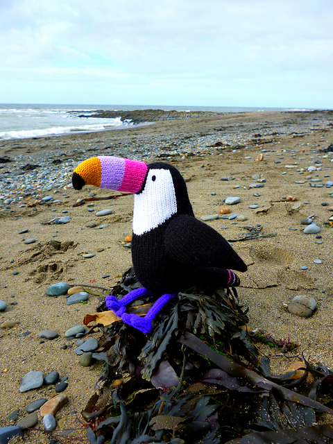Ravelry: Graham the Toucan pattern by Trish Roberts | trishlemoose