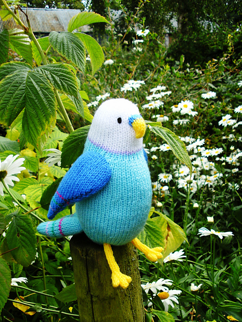 Ravelry: Clifford the Budgie pattern by Trish Roberts | trishlemoose