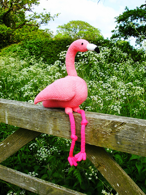 Ravelry: trishlemoose's Felipe Flamingo