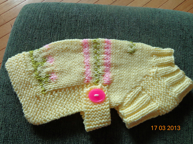 Ravelry: Spring Fling BT/PUG Dog Sweater pattern by My Mothers Corner