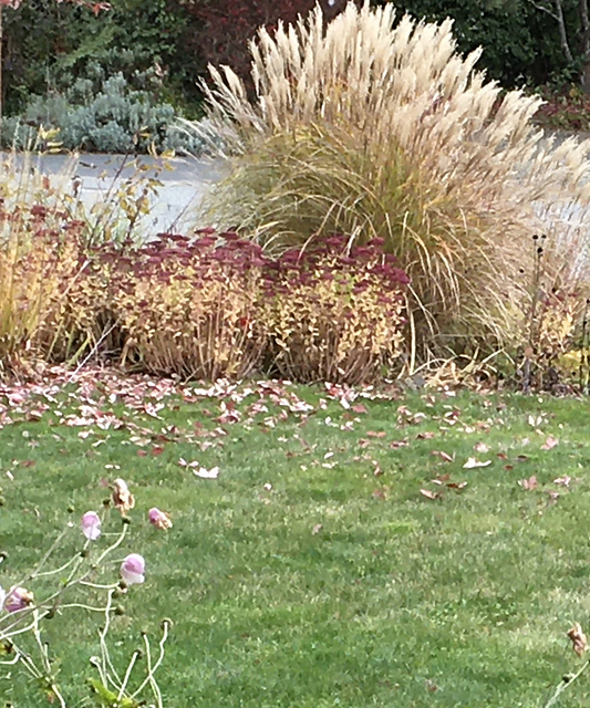 Ravelry: tsardust's Heck, ye-ah in the round. I got chores to do!