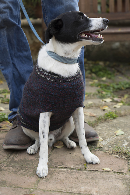 Ravelry: Zampa pattern by Kennita Tully