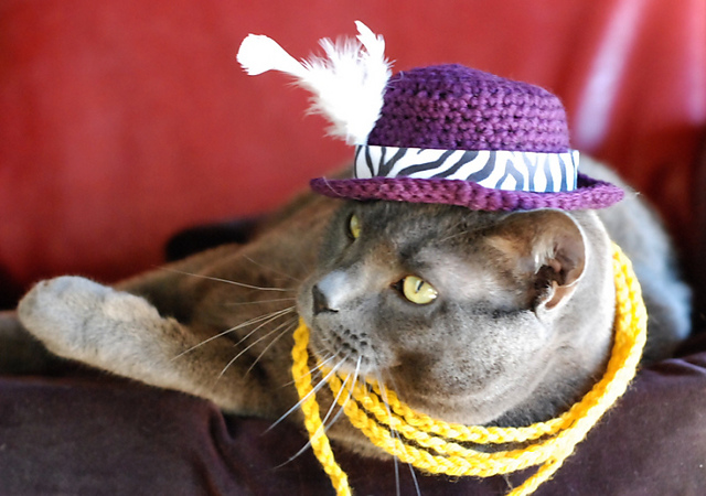 Ravelry: My Pimp Paw is Strong pattern by Stacy Mar