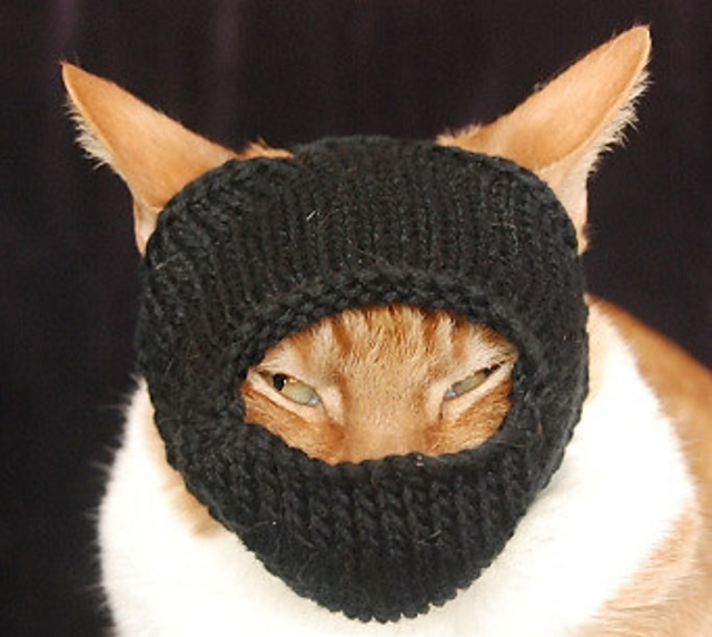 Ravelry: International Cat Hat: Japan pattern by Stacy Mar