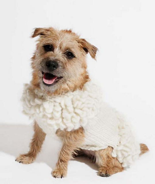 Ravelry: CHER DOG COAT pattern by Wool and the Gang